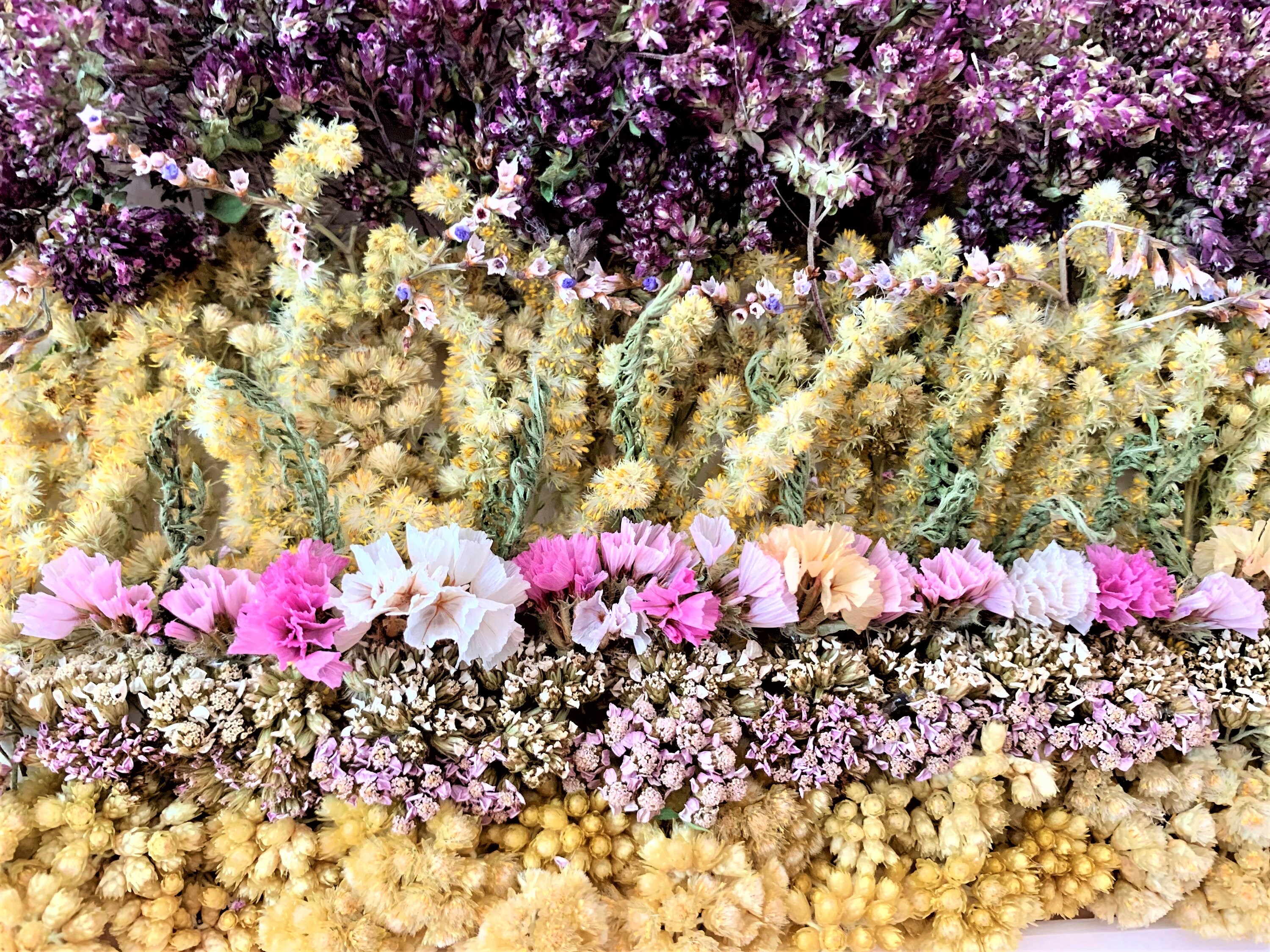 3d Dried Flower Collage, Real Flower Picture, Modern Art, Mural of ...
