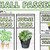 Plant Classroom Birthday Display Classroom Birthday Board Birthday ...