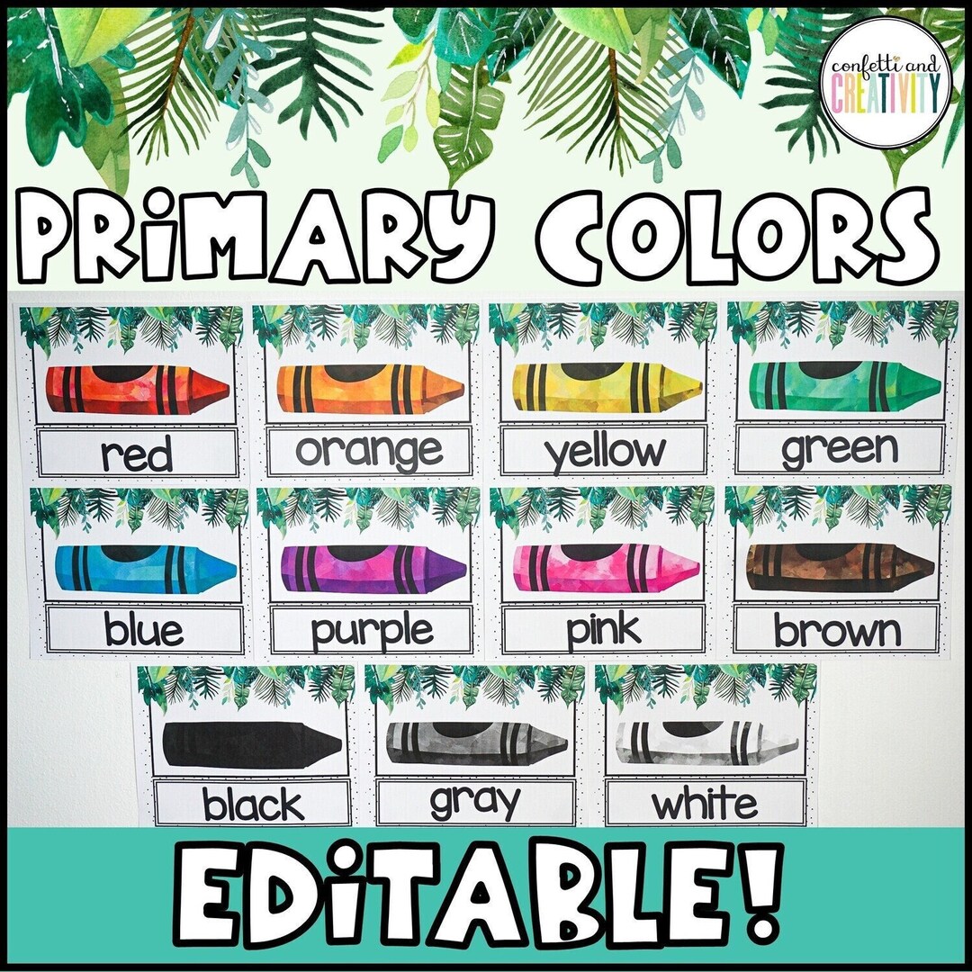 Tropical Color Posters for the Classroom | Primary Classroom Decor ...