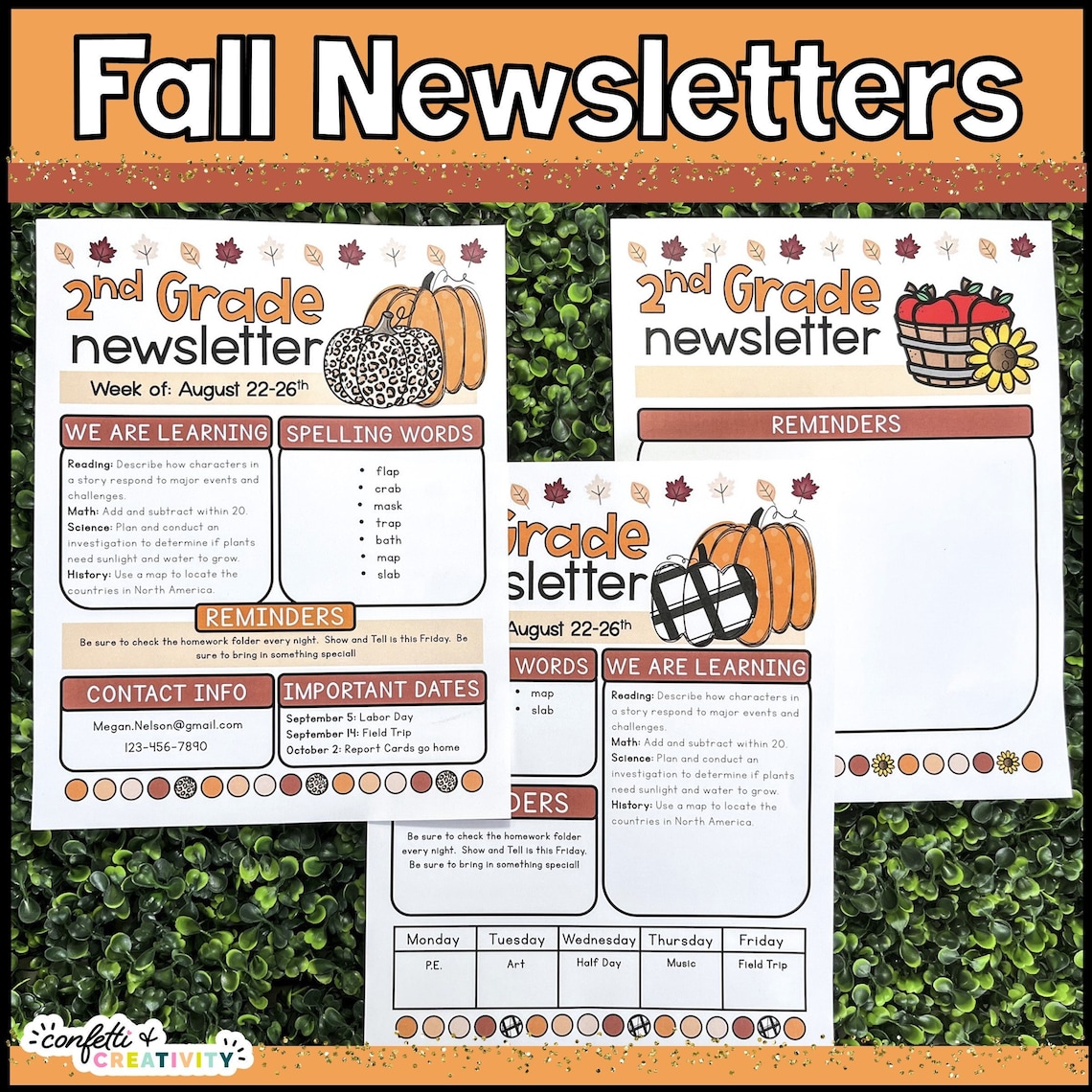 Editable Teacher Newsletter Template | Fall Classroom Newsletter ...