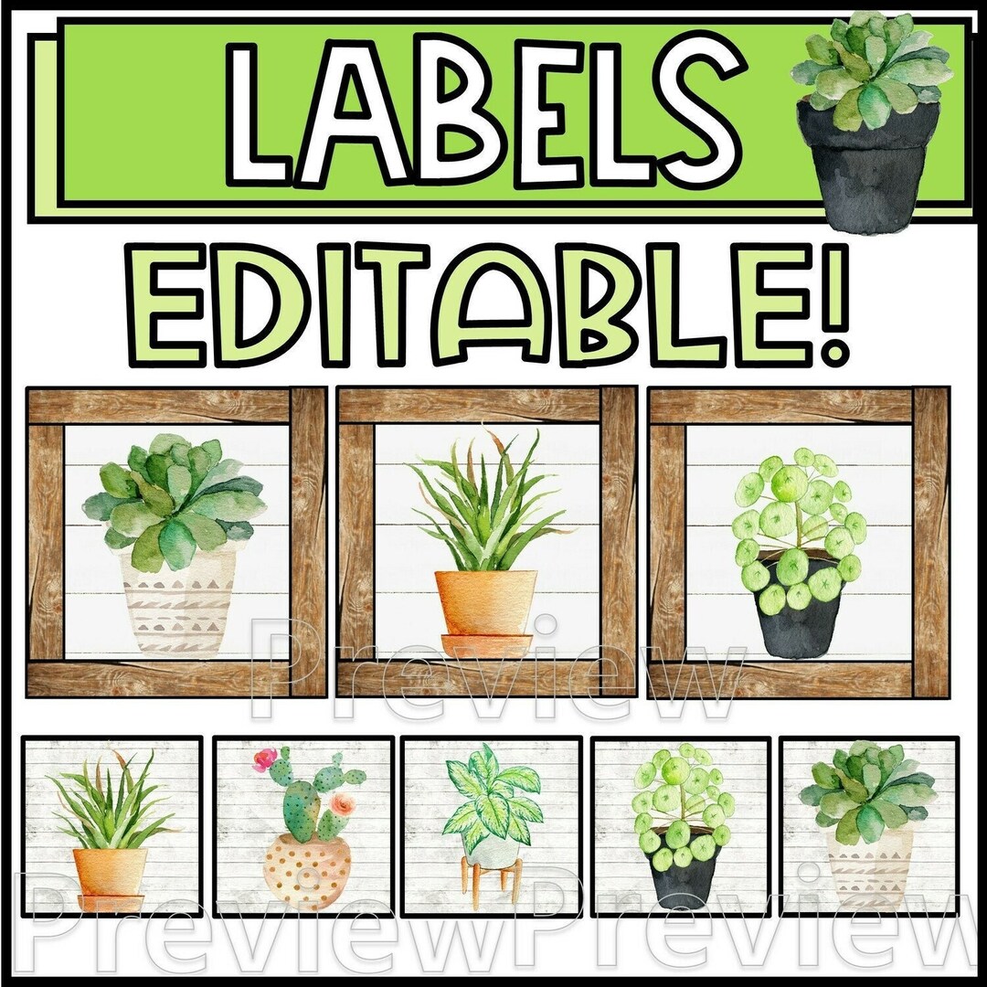 Editable Classroom Labels | Plant Classroom Labels | Plant Classroom ...