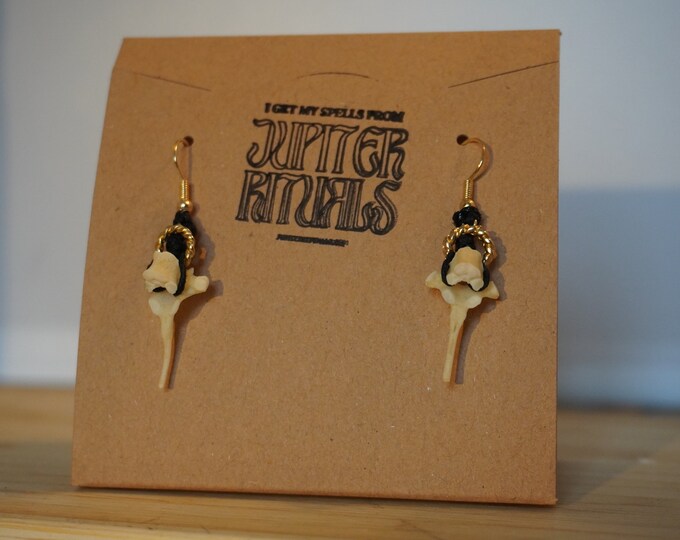 Jupiter Rituals Rabbit Vertebra Bone Earrings. - Etsy