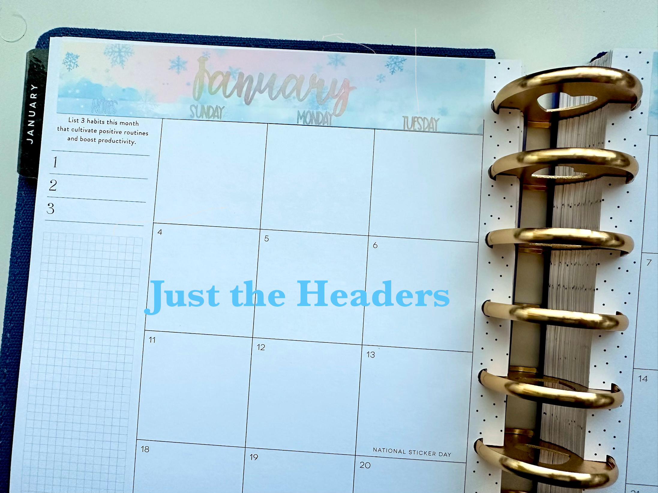 FOILED January Monthly Headers: A Snowy Start Planner Stickers (1.5 ...
