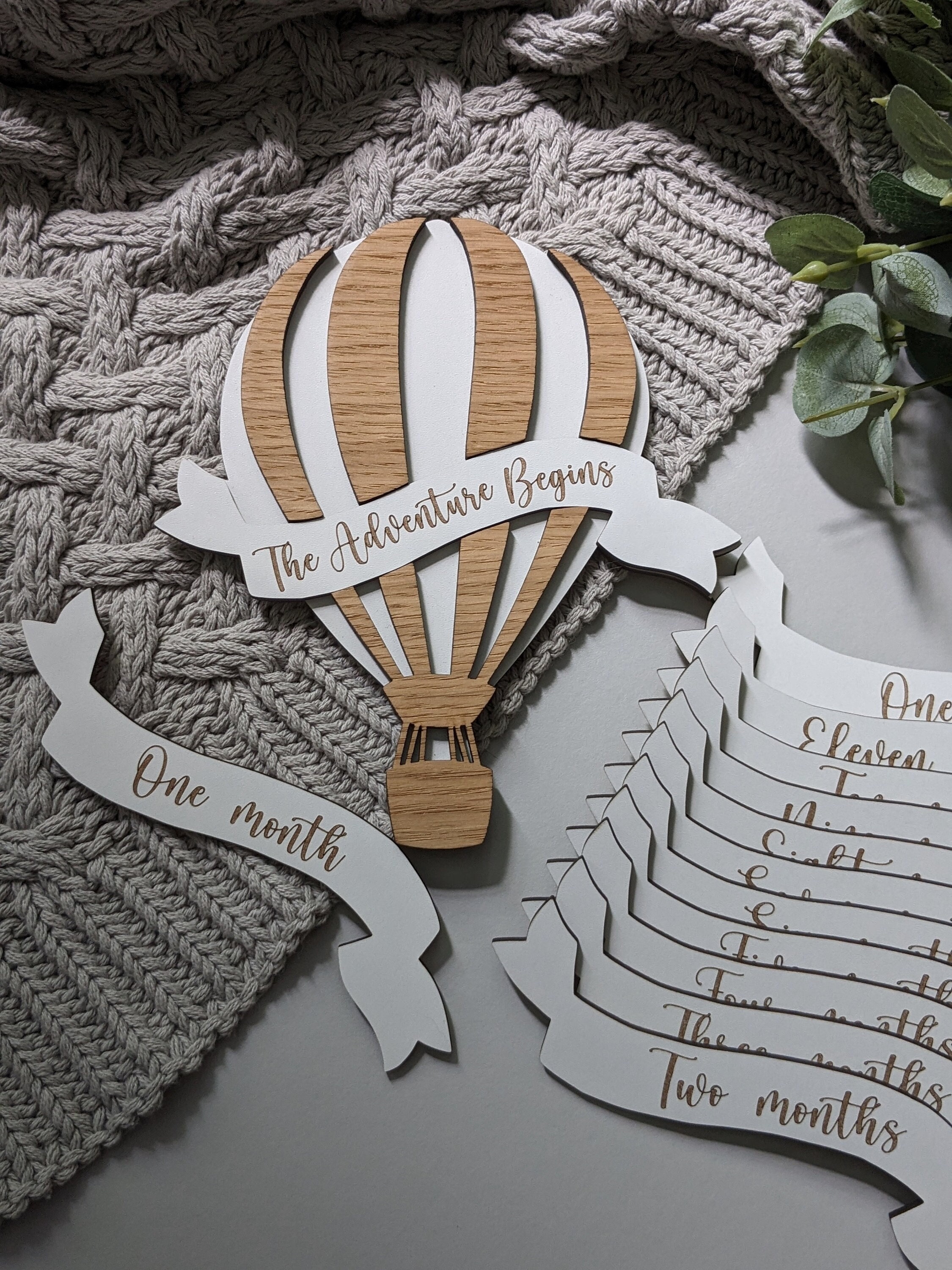 Baby Months Signs Hot Air Balloon Milestone, Milestone Sign, Milestone ...