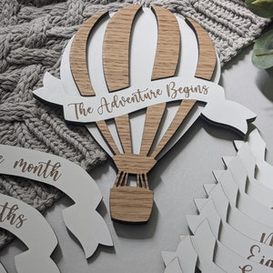 Hot Air Balloon Milestone Prop | Interchangeable Milestone Photo Prop ...