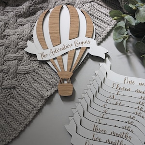 Hot Air Balloon Milestone Prop | Interchangeable Milestone Photo Prop ...