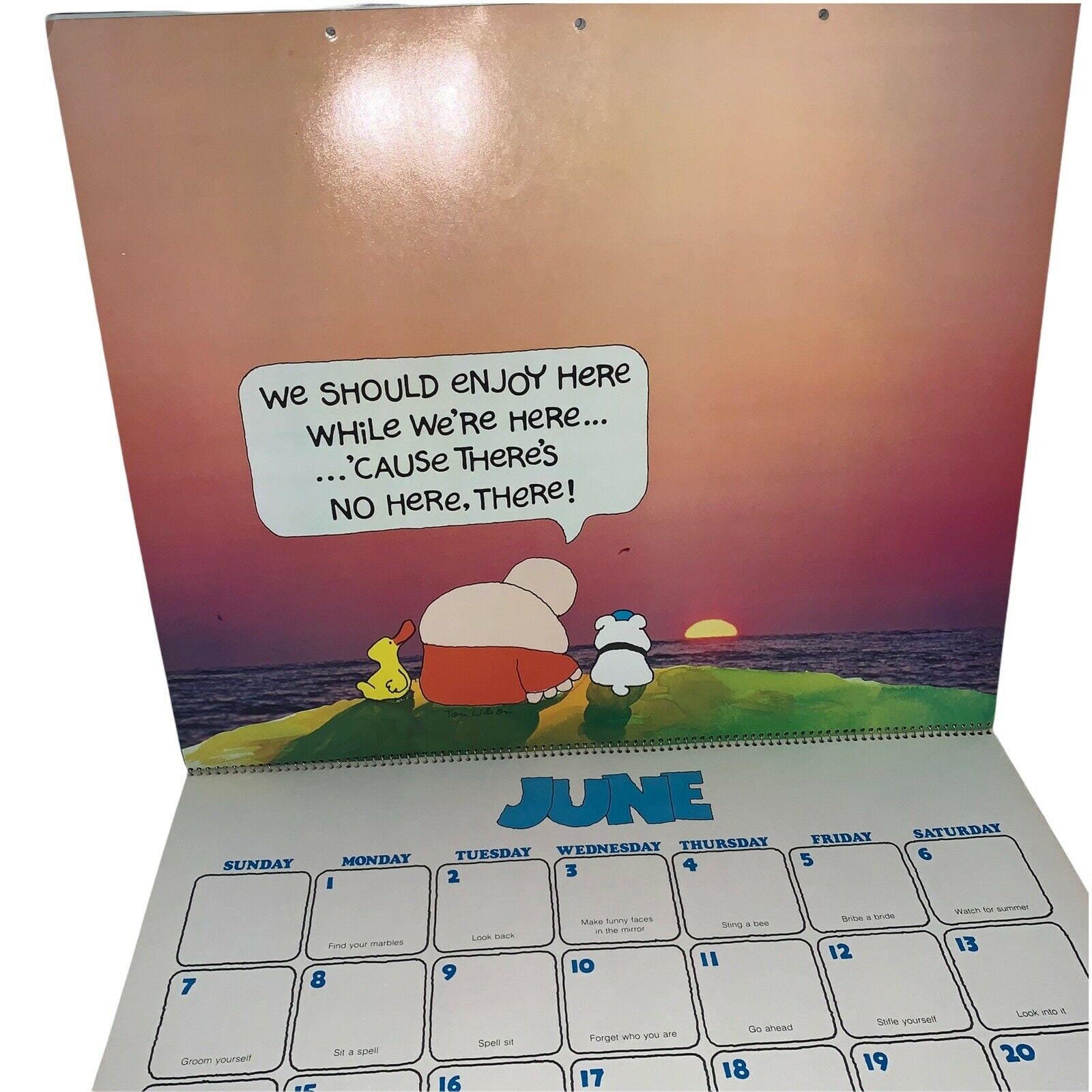 Vintage 1980-1981 Ziggy 16-month Poster Calendar - Etsy