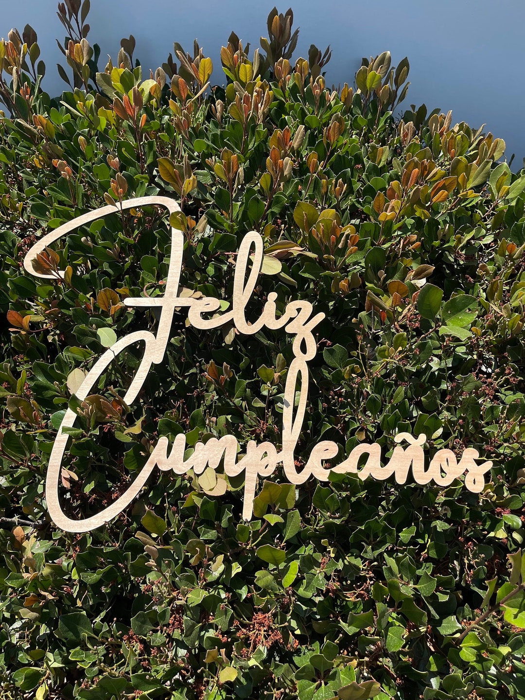 Feliz Cumpleaños Sign, Happy Birthday Banner, Unfinished Wood Signs ...