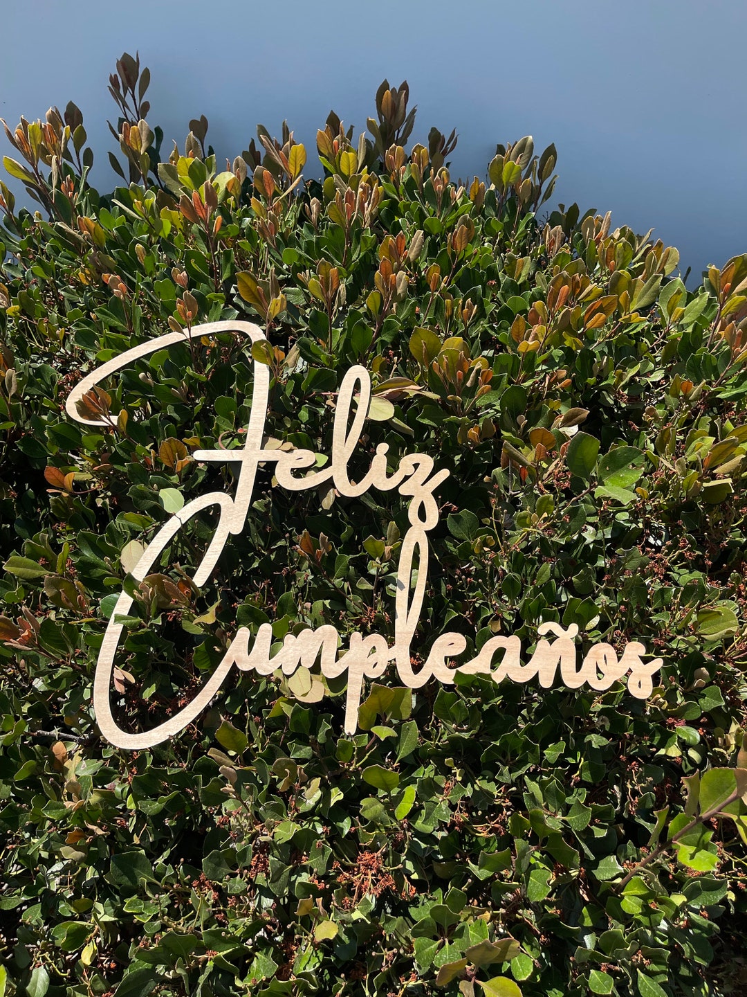 Feliz Cumpleaños Sign, Happy Birthday Banner, Unfinished Wood Signs ...