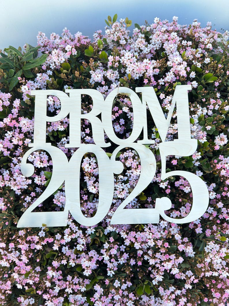Prom 2026 Sign, Graduation Photo Prop Decor - Etsy