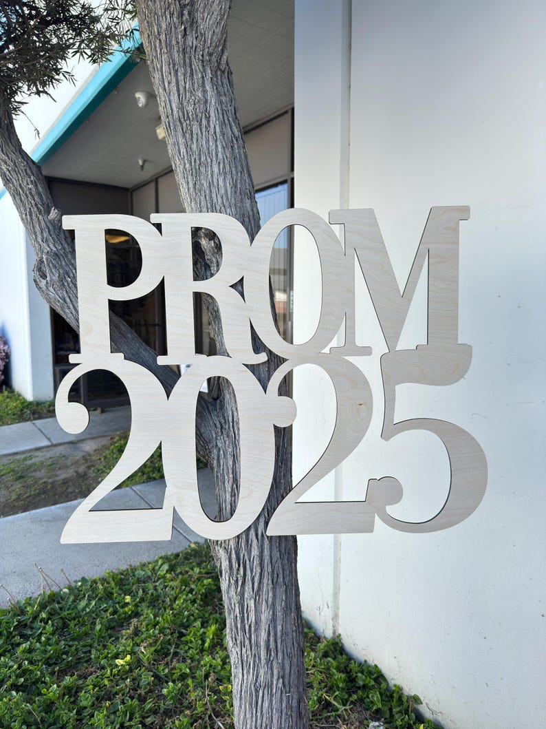 Prom 2026 Sign, Graduation Photo Prop Decor - Etsy