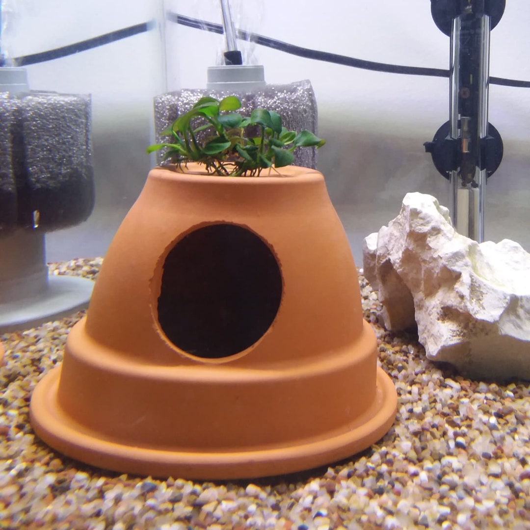 Snail Condo Fish Cave Snail Hide Aquarium Decoration Pet - Etsy