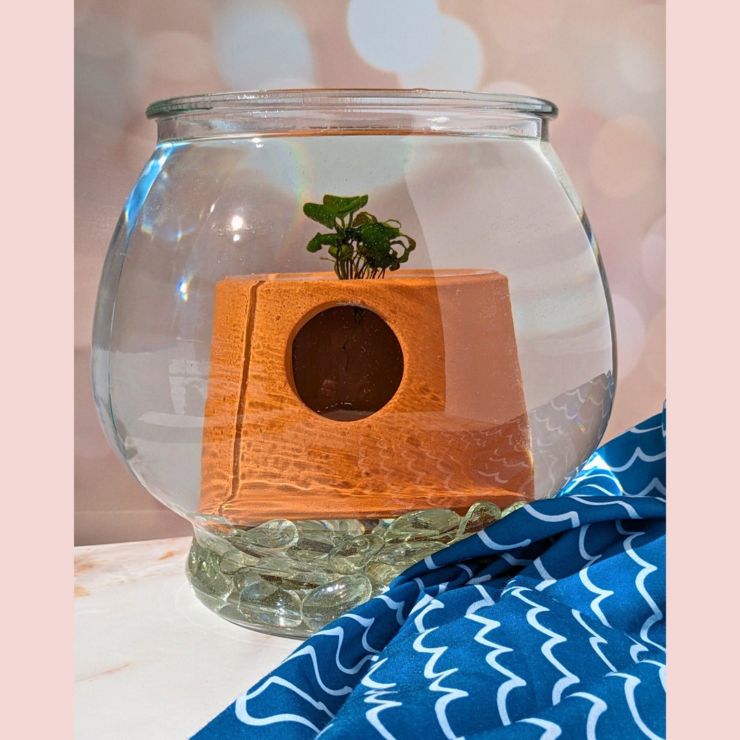 Snail Condo Fish Cave Snail Hide Aquarium Decoration Pet Furniture Fish ...