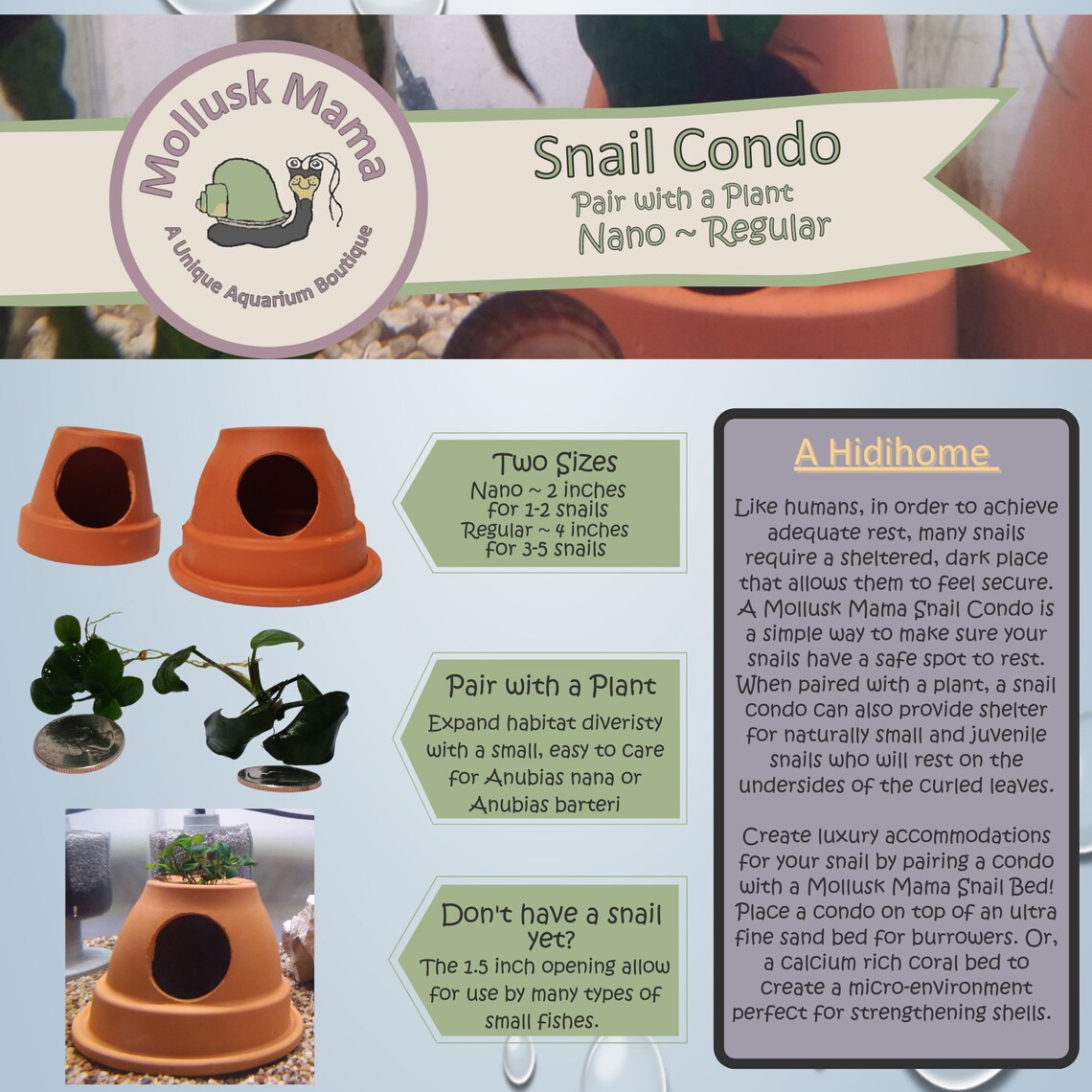 Snail Condo Fish Cave Snail Hide Aquarium Decoration Pet - Etsy