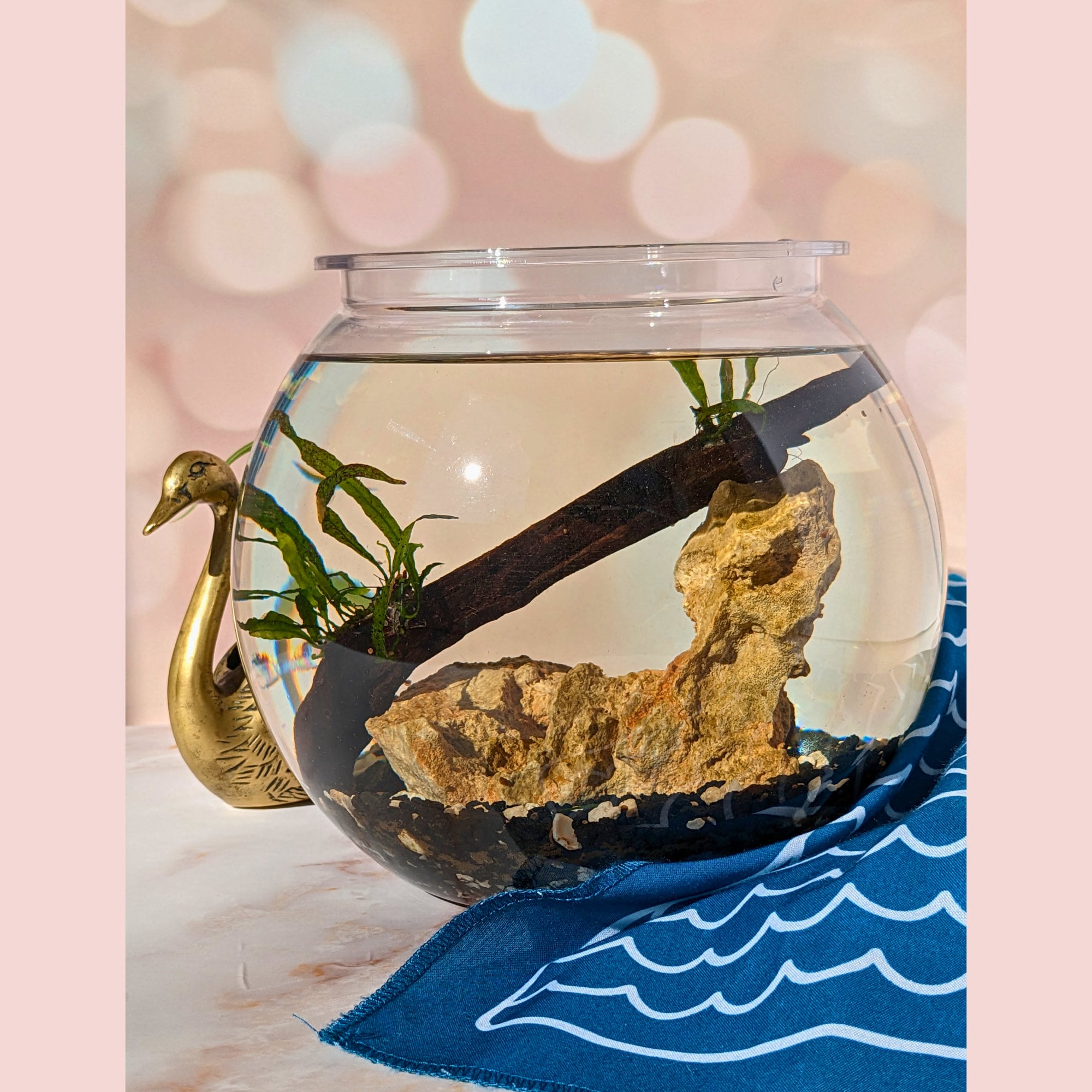 Diy Hanging Fish Bowl