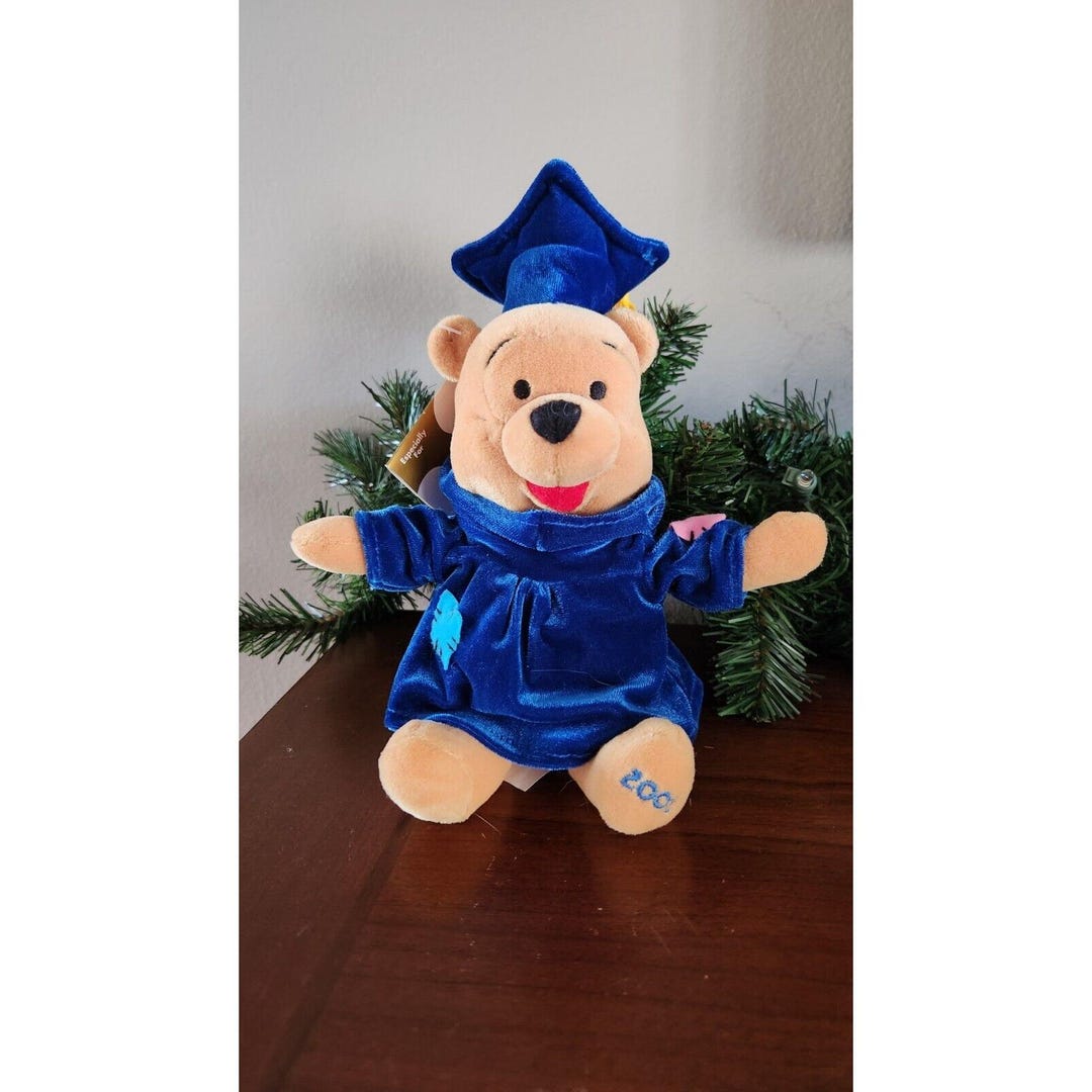 Disney Winnie the Pooh “graduate Pooh” 2001 Mini Plush - Etsy