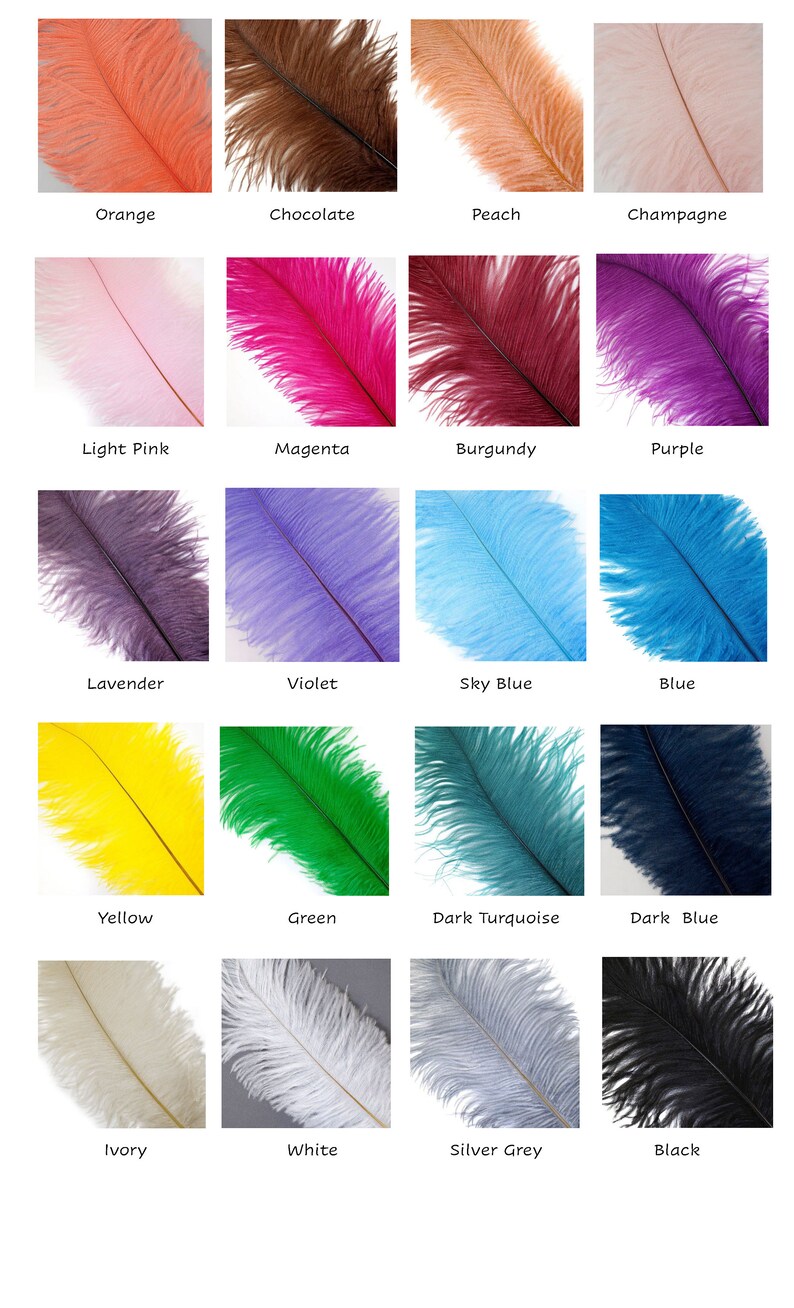 MADE TO ORDER: Reversible Ostrich Feather Large Angel Wings Photography ...