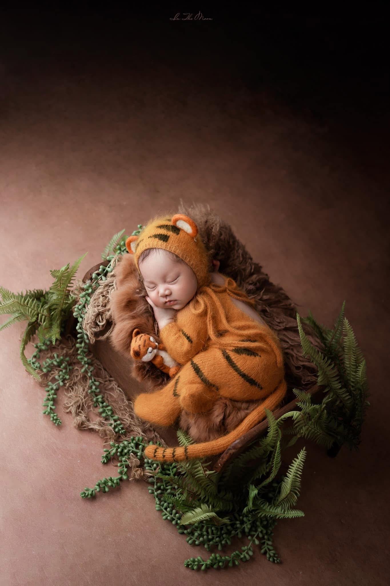 Tiger Romper and Felted Tiger Props for Newborn Photography - Etsy