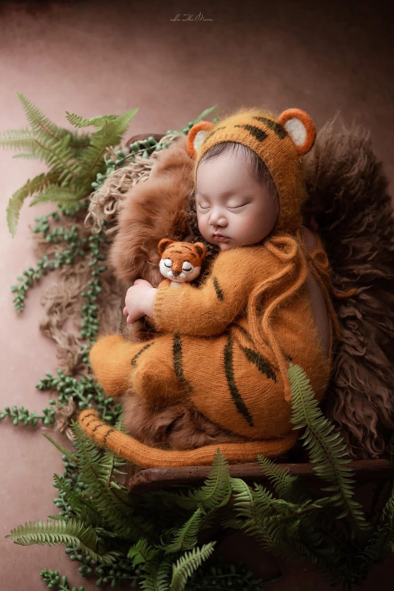 Tiger Romper and Felted Tiger Props for Newborn Photography - Etsy