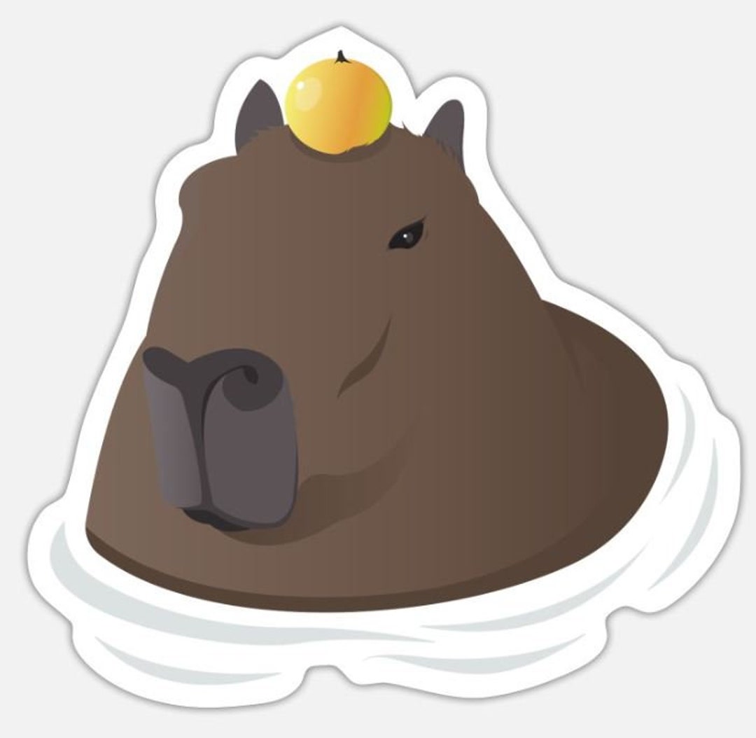 Capybara Swimming Lemon on Head Meh Vinyl Sticker - Etsy