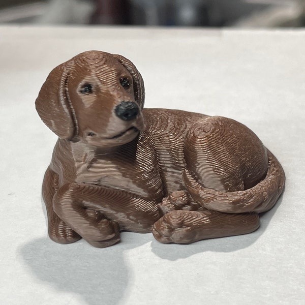 Chocolate Labrador - Etsy