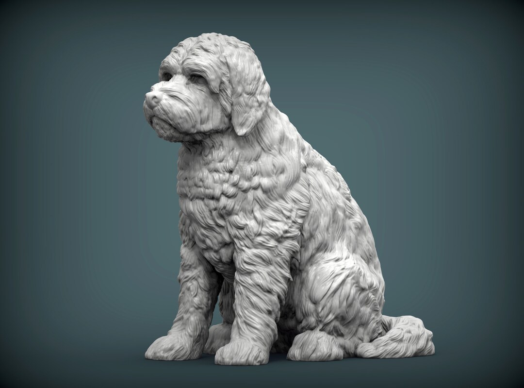 Goldendoodle / Labradoodle Blank OR Custom Painted 3D Printed - Etsy