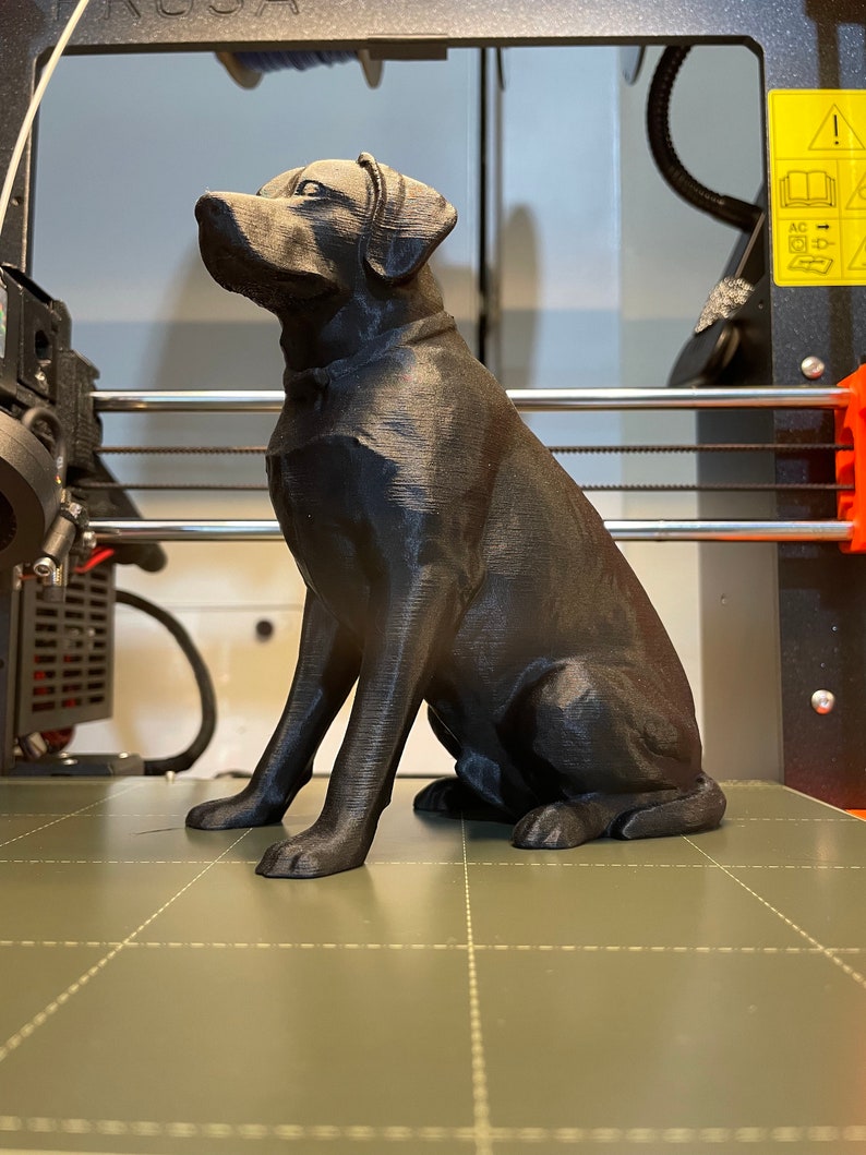 Labrador 3D Printed Model for Display. Customizable Collar - Etsy