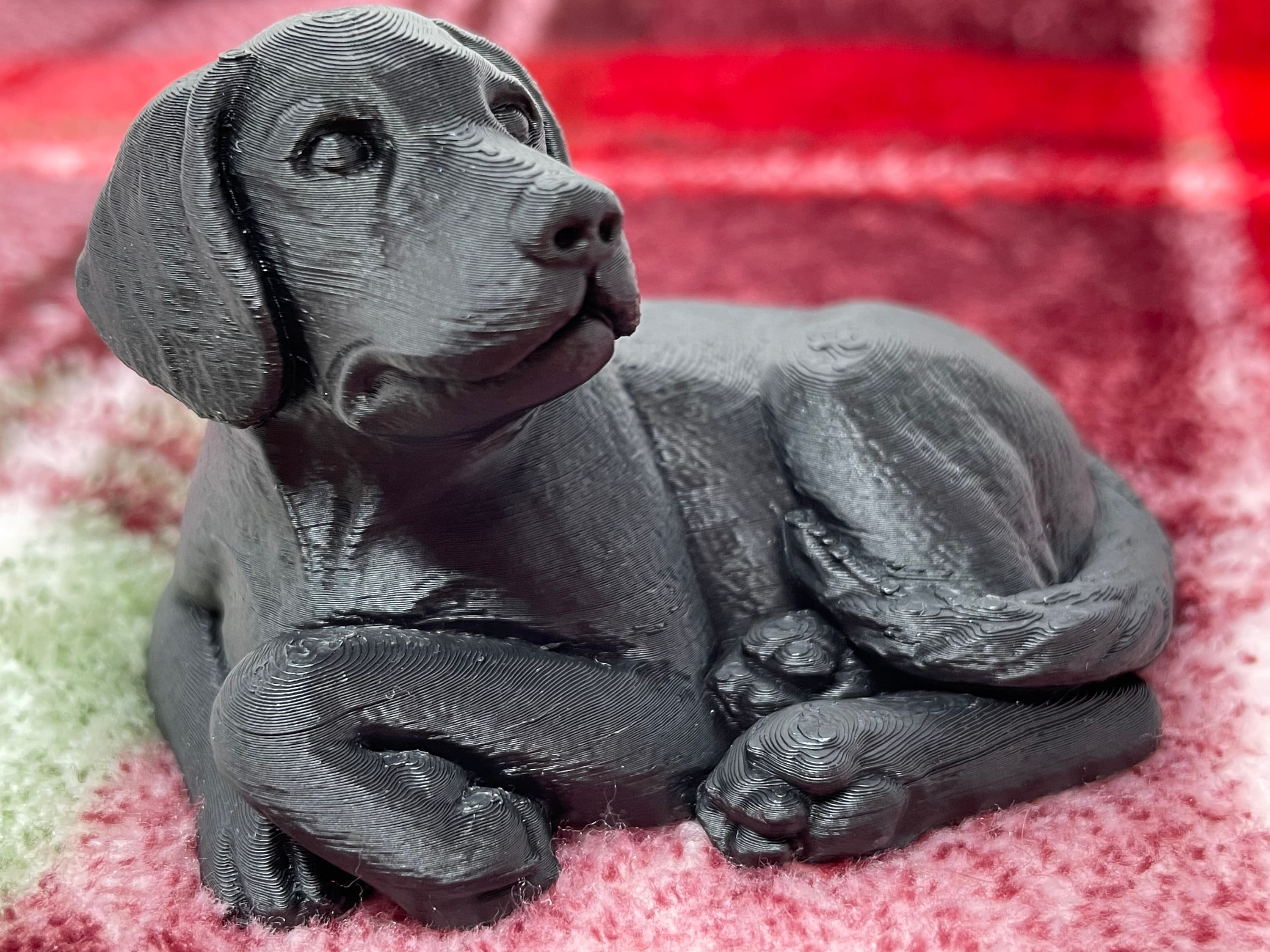 Miniature Black Lab Dog