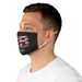 FJB Face Mask | Anti Biden Face Mask, Funny Face Mask, We the People ...
