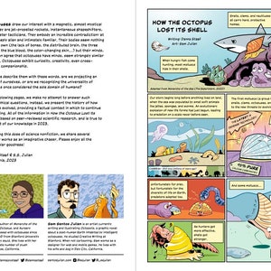 How the Octopus Lost Its Shell Zine PREORDER - Etsy