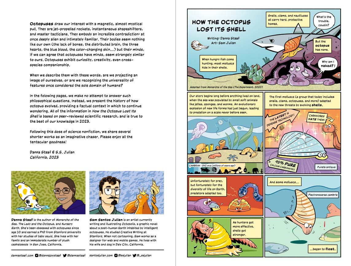 How the Octopus Lost Its Shell - Zine - Etsy