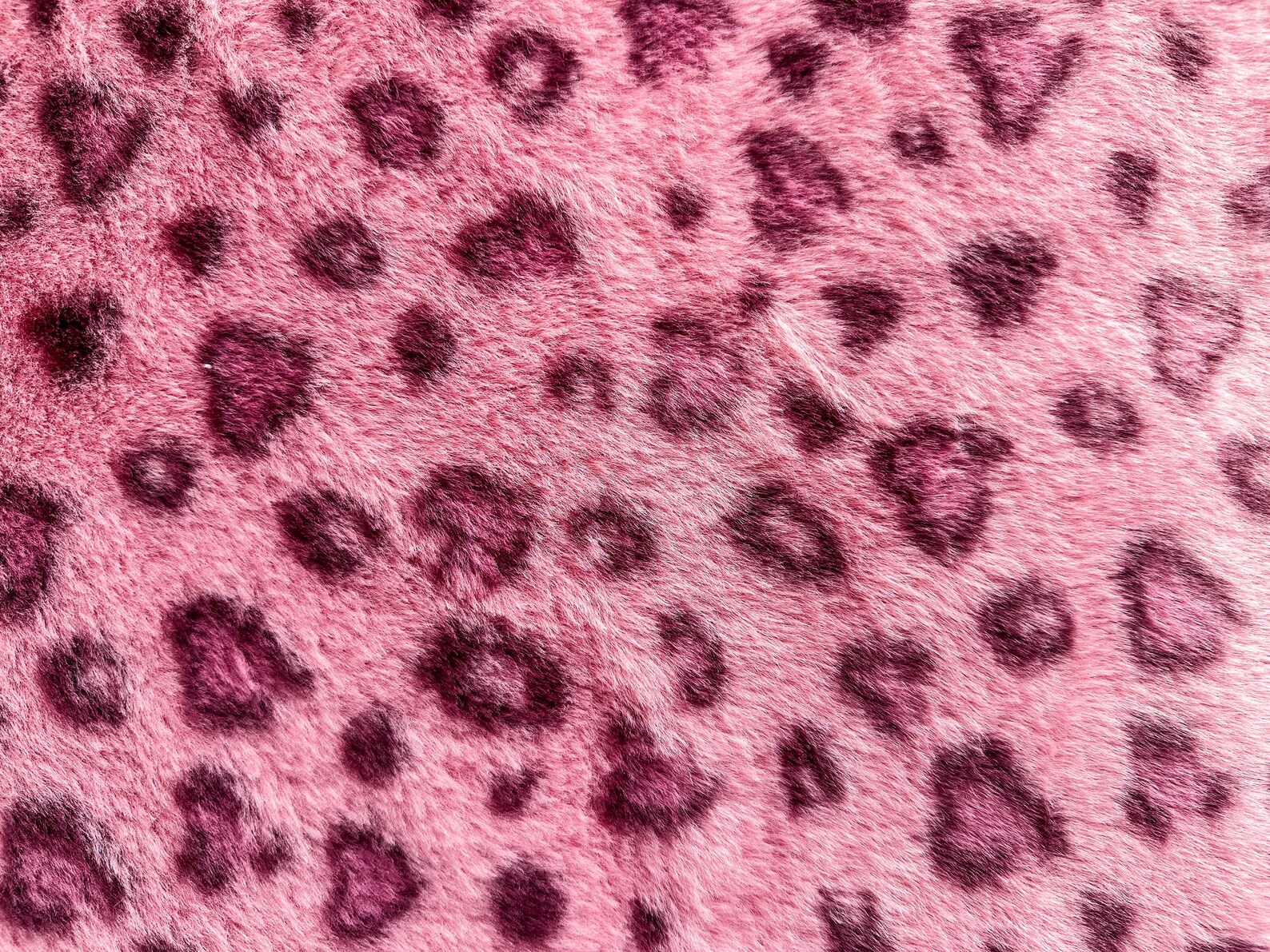 Pink Leopard Knit Fleece Fabric/ Cheetah Winter Elastic Spandex Sweater ...