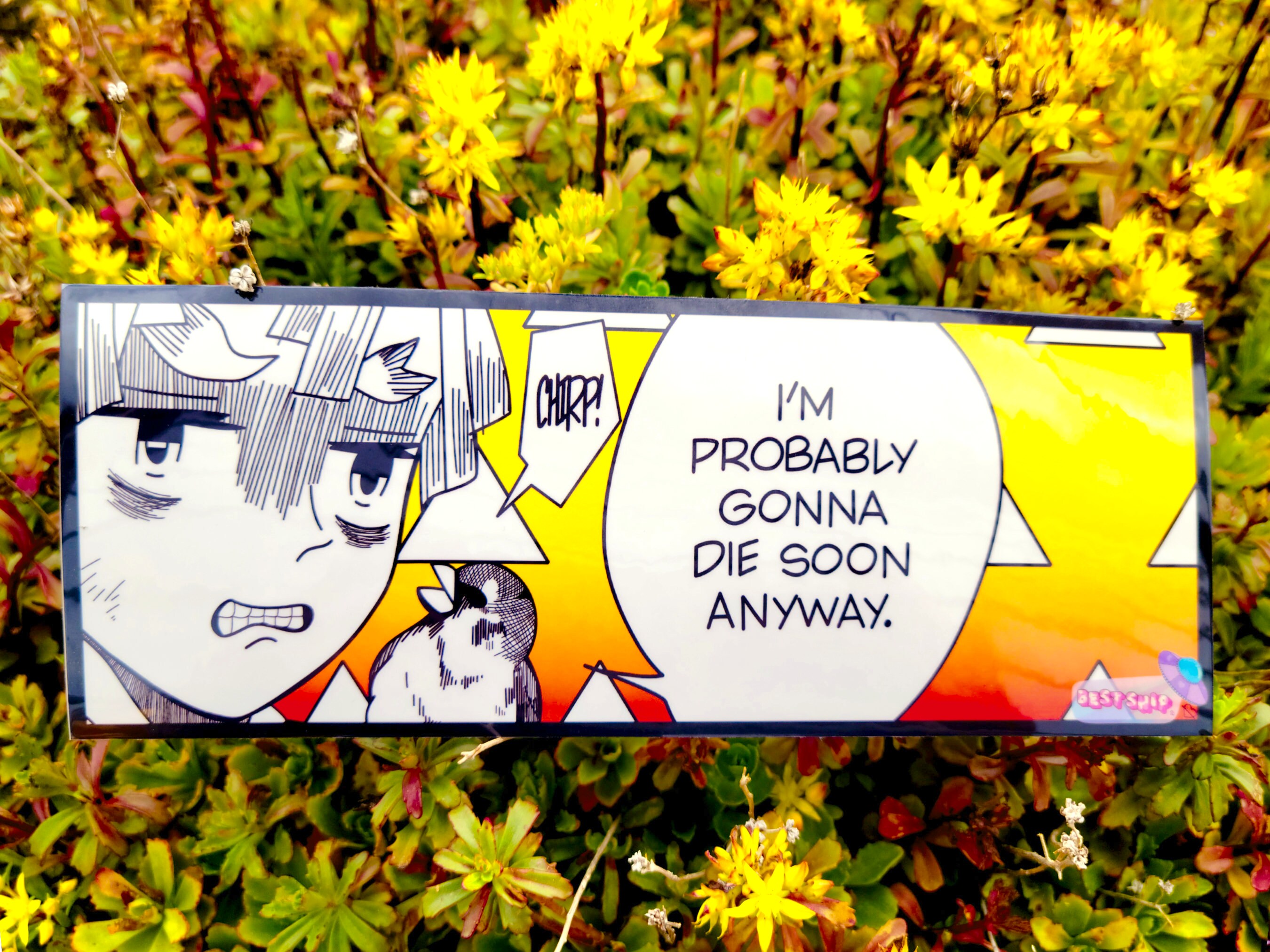 Boy of Yellow Slap 2nd Edition - Etsy