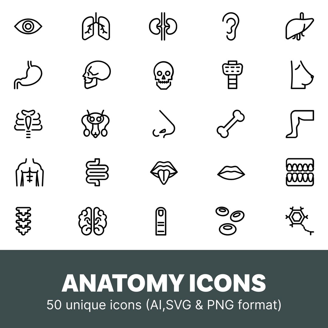 Anatomy Icon Pack 50 Icons UX Digital Design Web Design - Etsy