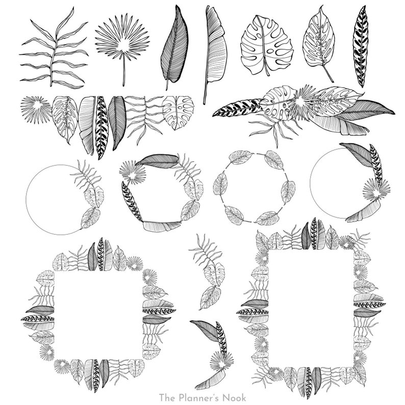Leaf Clipart, Hand Drawn Line Art, Tropical Leaf Art, Bouquet Border ...