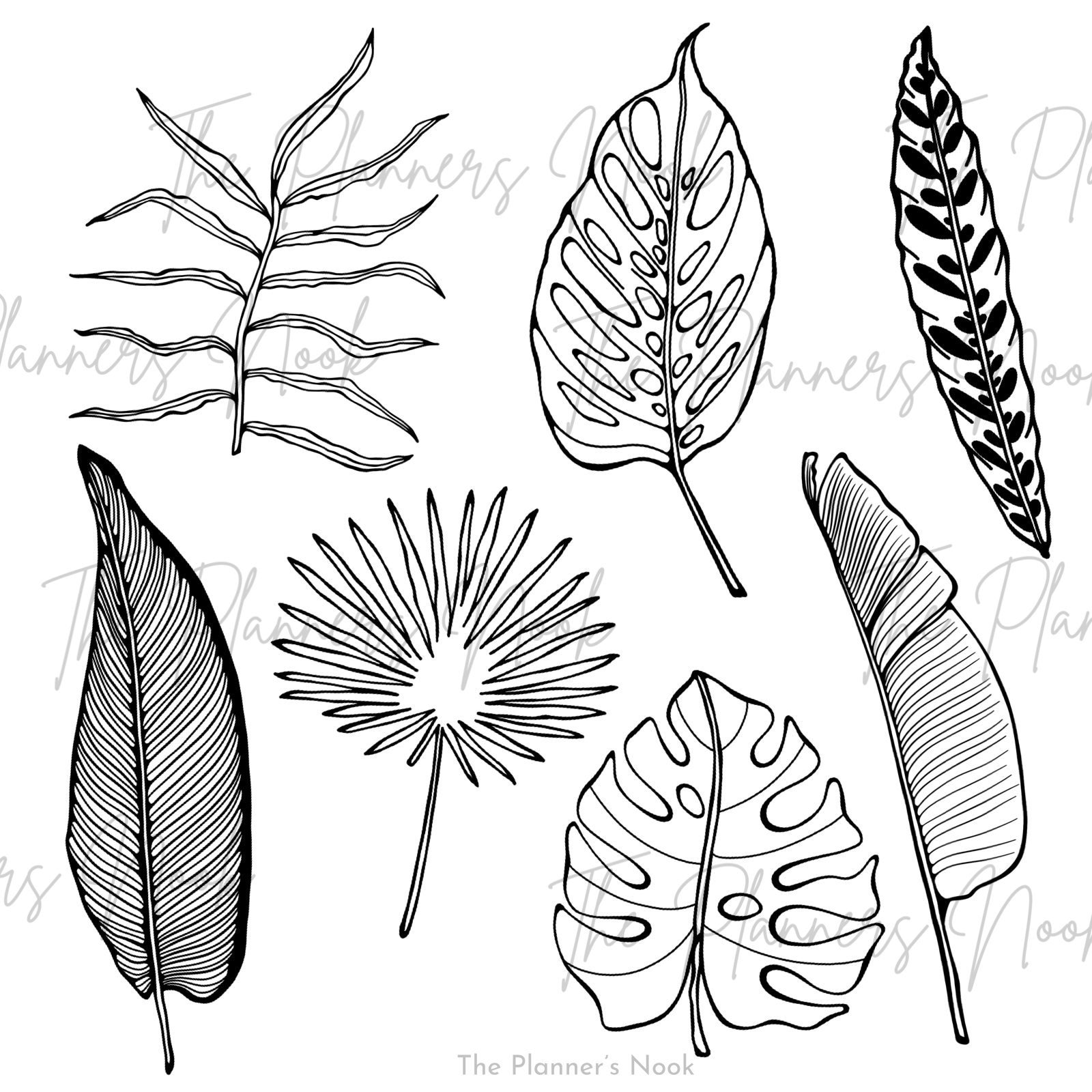 Leaf Clipart, Hand Drawn Line Art, Tropical Leaf Art, Bouquet Border ...
