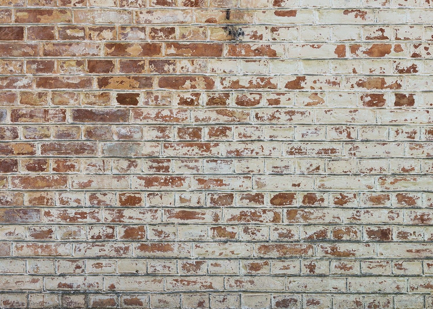 Rustic Brick , Vinyl Banner , SHIPS OUT IN 24HRS * , 13 Oz Vinyl Banner ...