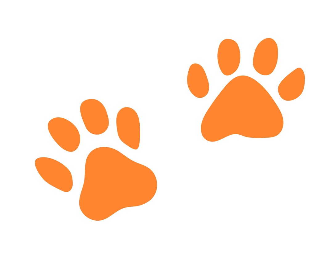 Paw Prints orange SVG Instant Download SVG, PNG, Jpg Digital Download ...
