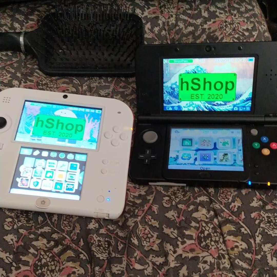 Nintendo 3ds/2ds Modding Service - Etsy