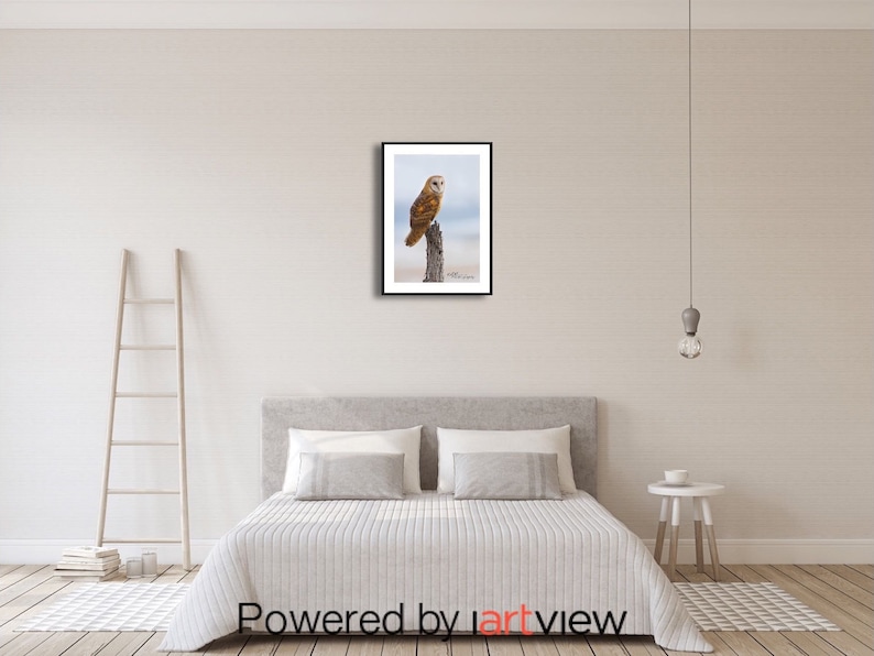 Barn Owl on a Post, Wildlife Photography Art, Room Wall Art, Owl Art ...