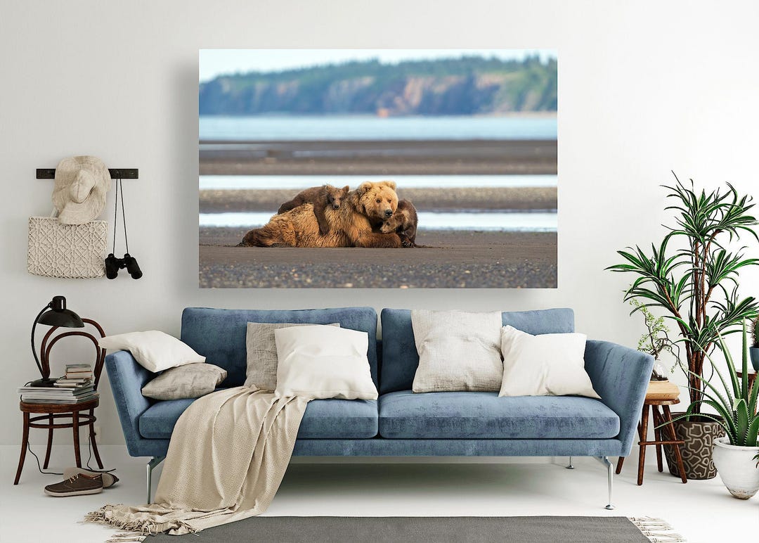 Brown Bear and Her Two Cubs Cuddle on the Beach, Wildlife Photography ...