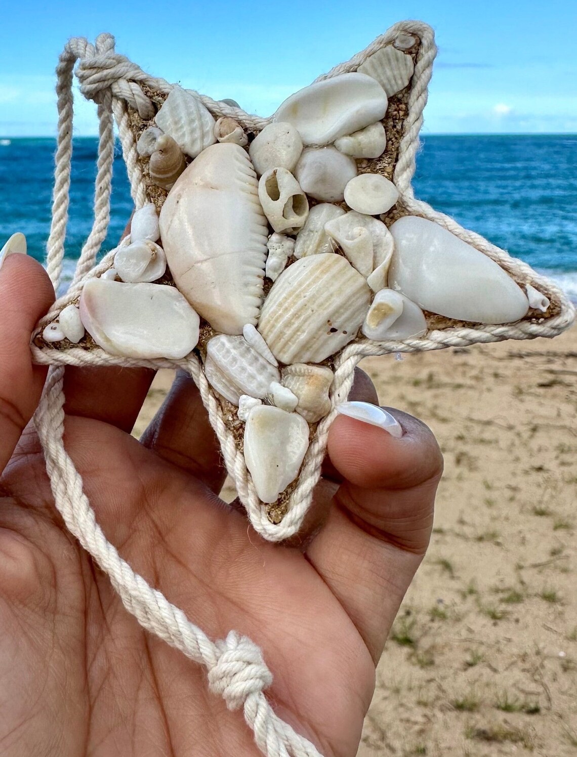 Simple White Shells Star Ornament - Etsy