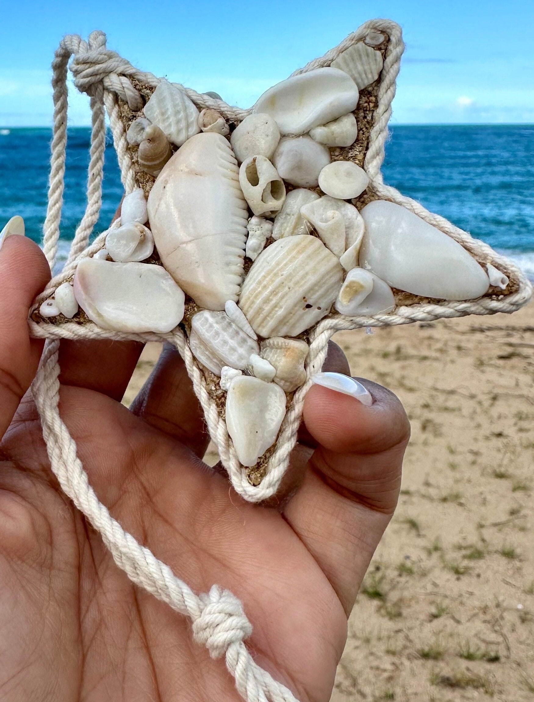 Simple White Shells Star Ornament - Etsy