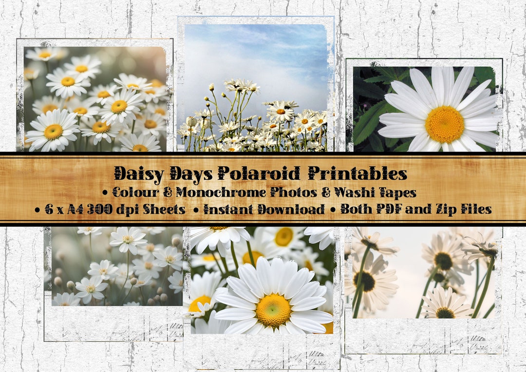 Daisy Days Faded Polaroid Photo Printables, Floral Digital Photo ...