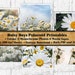 Daisy Days Faded Polaroid Photo Printables, Floral Digital Photo ...