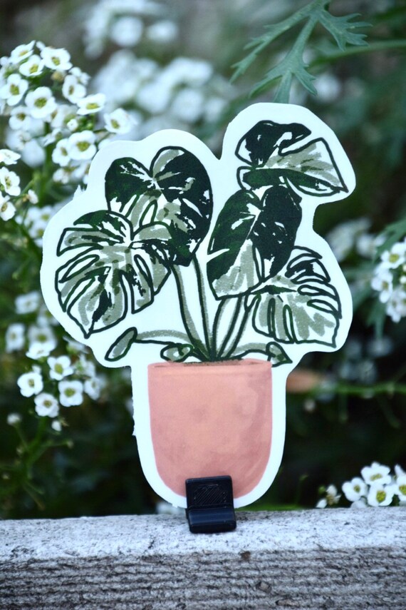 Swiss Cheese Plant Sticker | Etsy