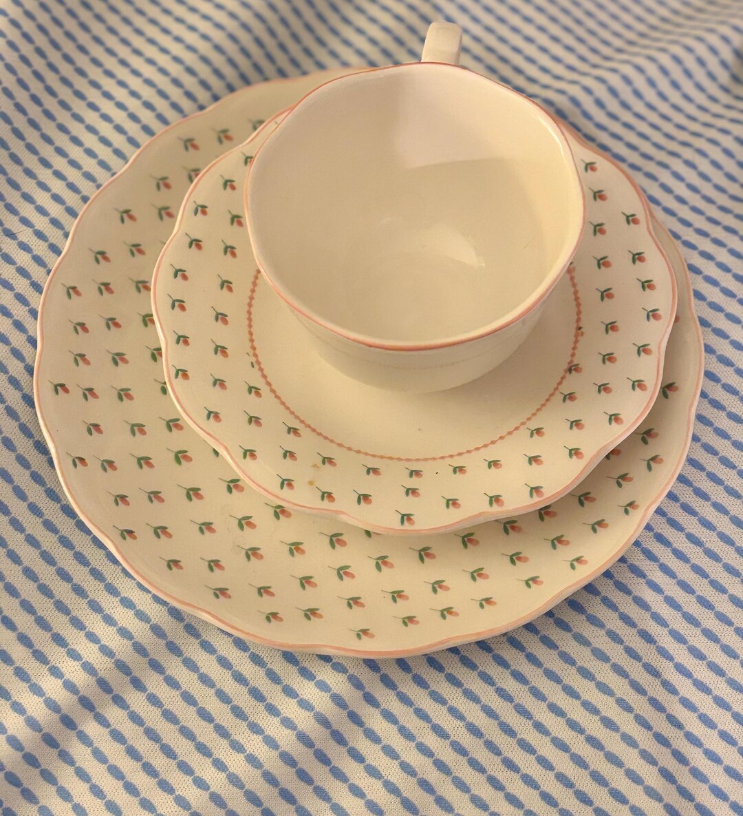 Cottagecore Tea Set for 2 American Country Dena Nikko Japan Rose Bud ...