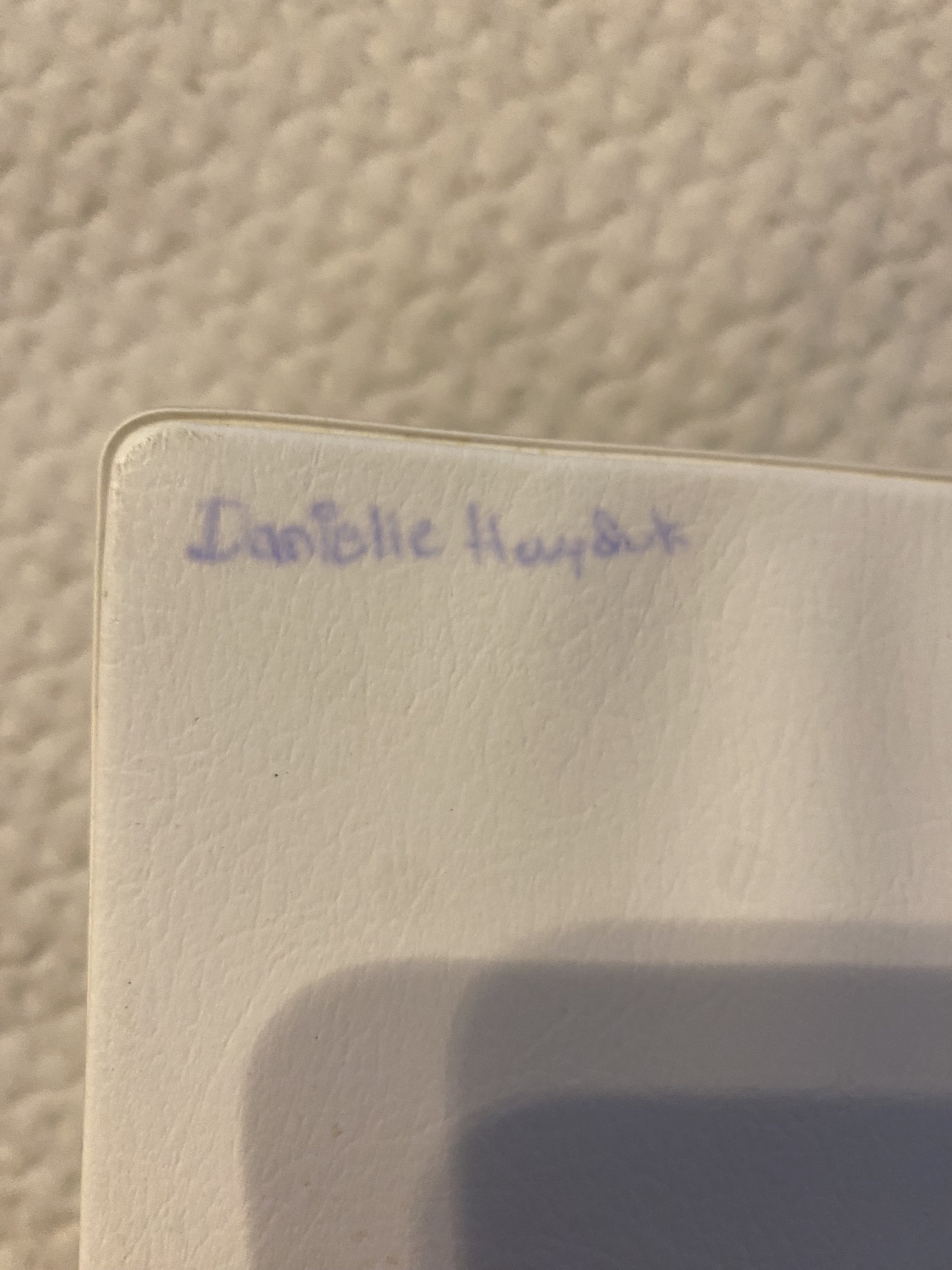 Retro 80s Mead Trapper Keeper Puppies Dogs Green Background - Etsy