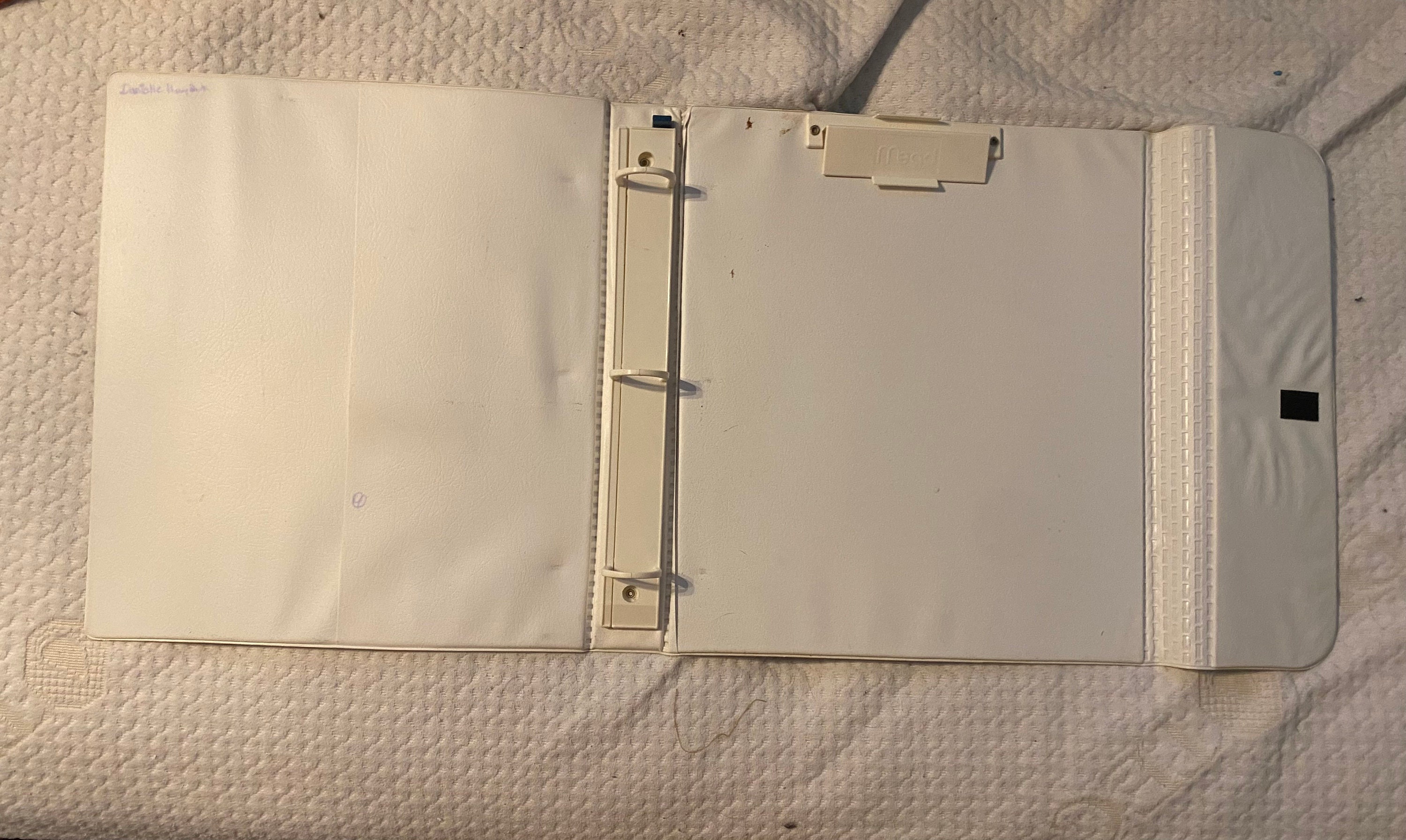 Retro 80s Mead Trapper Keeper Puppies Dogs Green Background - Etsy