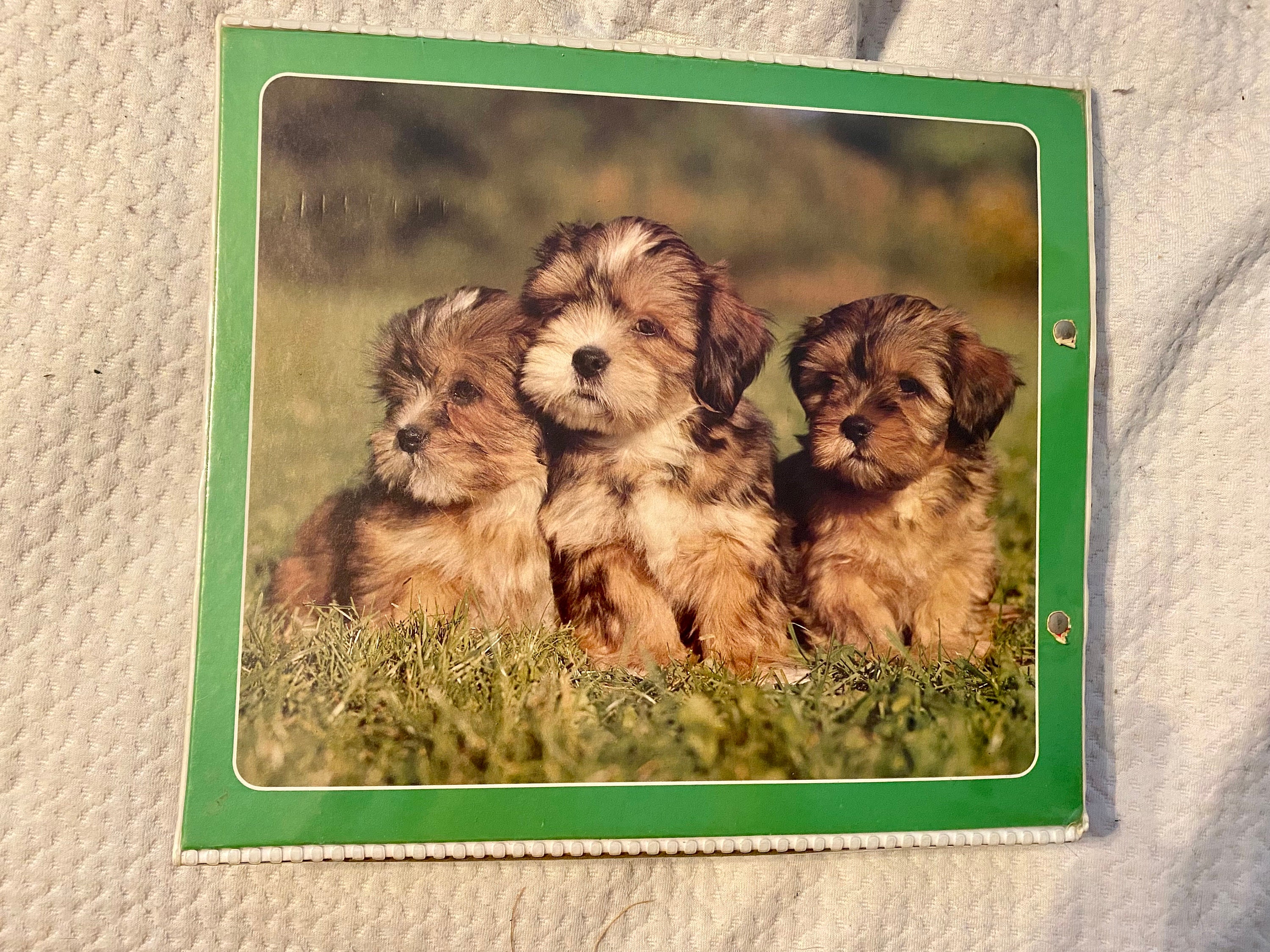 Retro 80s Mead Trapper Keeper Puppies Dogs Green Background - Etsy